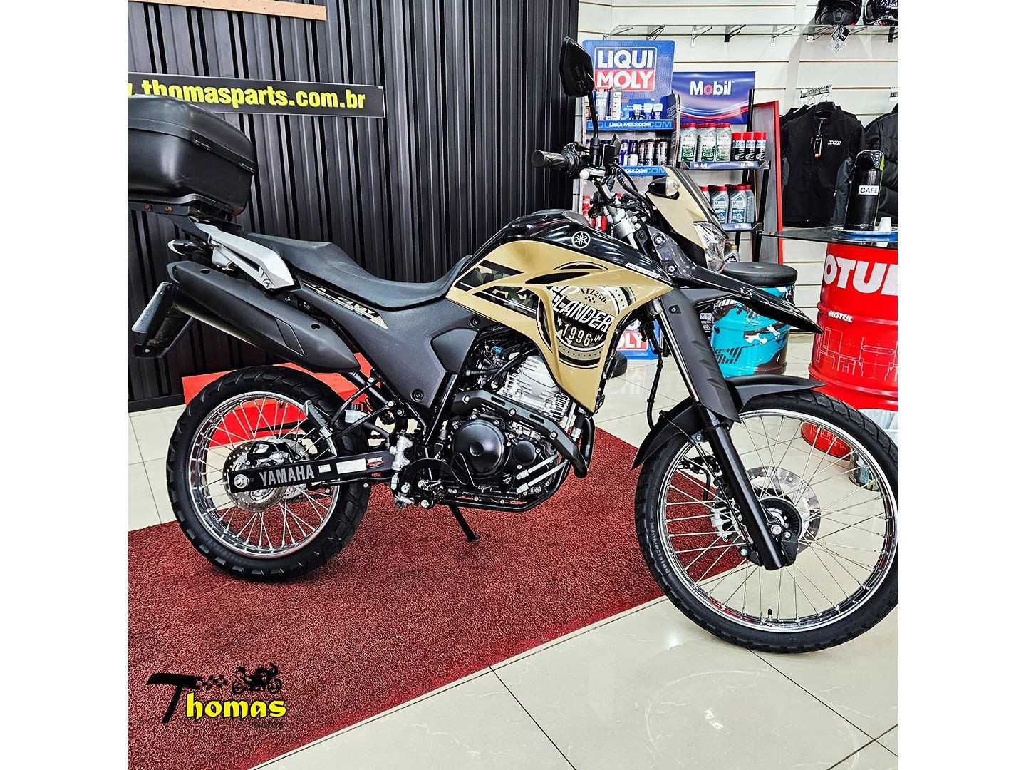Thomas Motos - Nosso Estoque