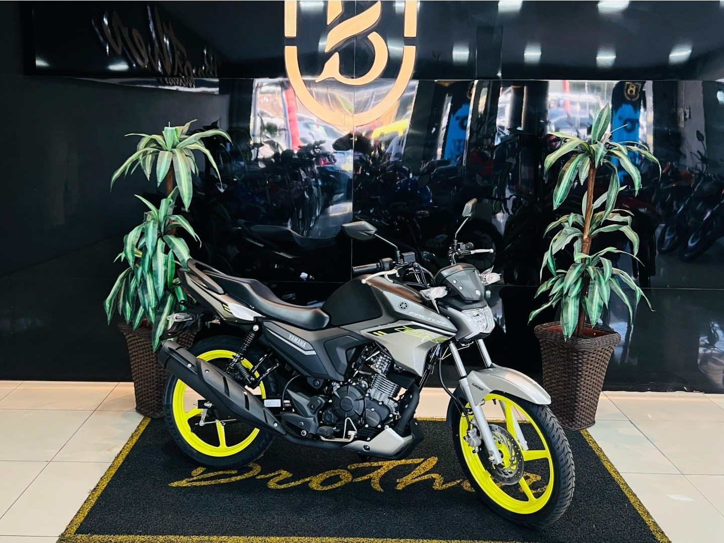 BROTHER VEICULOS: YAMAHA YBR 150 FACTOR DX 2025 - YBR 150 FACTOR DX - R ...